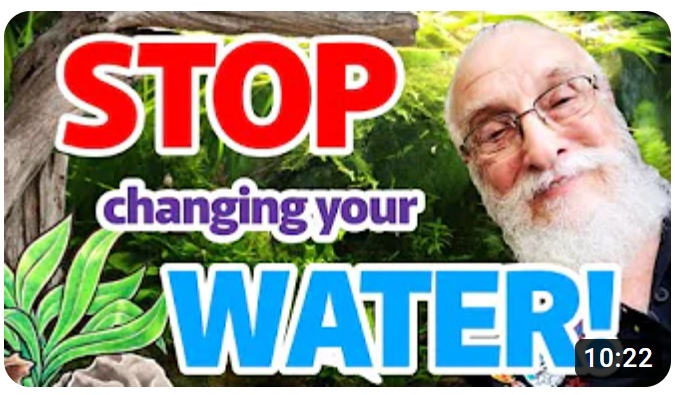 Stop Doing Water Changes?! - A Father Fish Video Review | Living Hobbies
